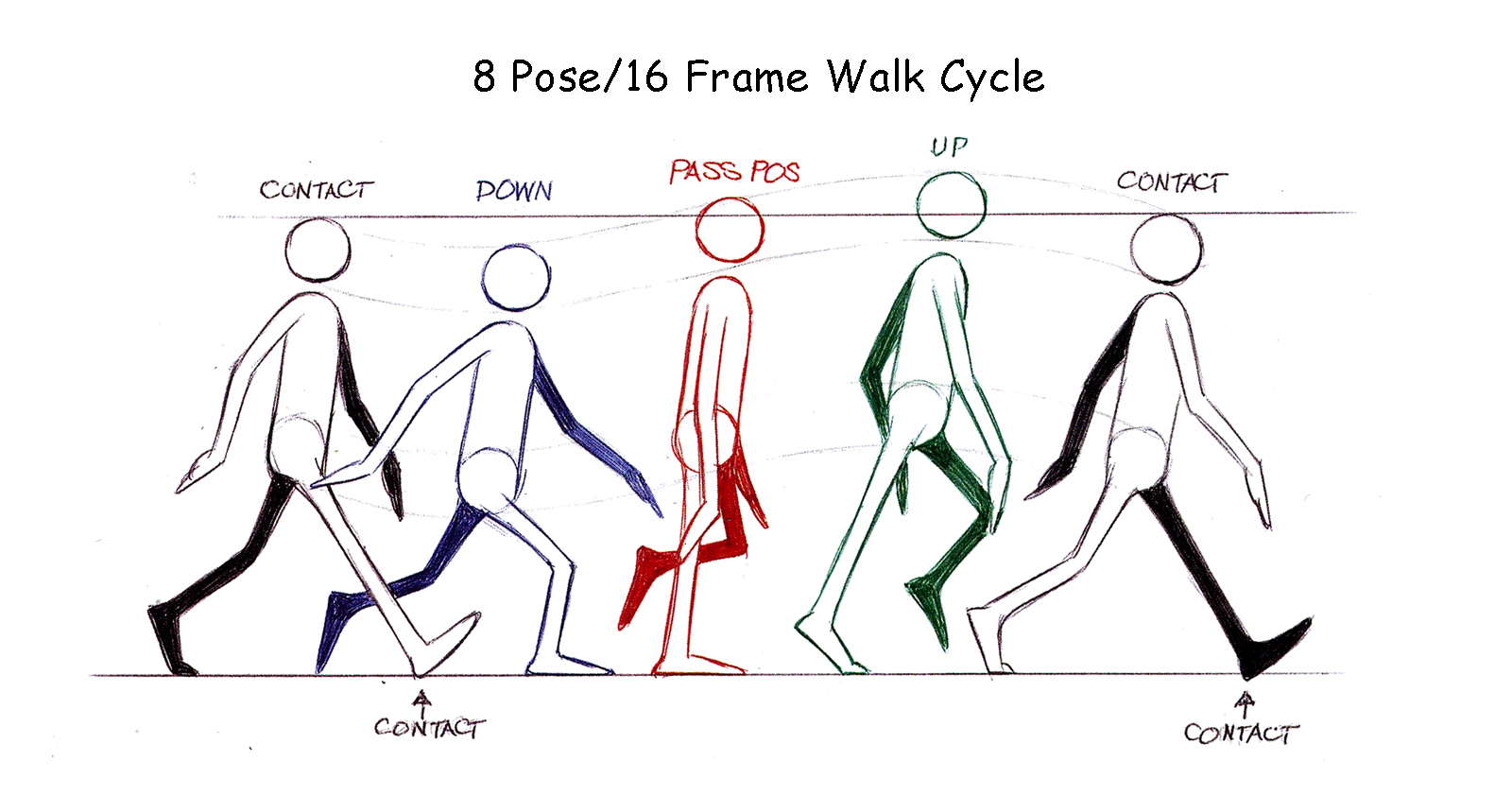 BASIC WALK CYCLE IN 4 POSES